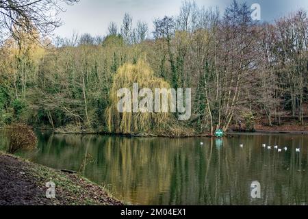 The fishing lake at Moss Valley, Brynteg, Wrexham, North Wales, United ...