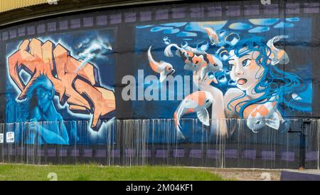 Water Tank Art, Mt Stuart, Hobart, Tasmania, Australia Stock Photo - Alamy