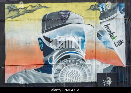 Water Tank Art, Mt Stuart, Hobart, Tasmania, Australia Stock Photo - Alamy