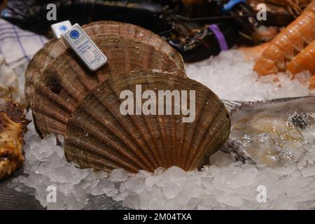 Copenhagen/Denmark/04 December 2022/Sea food on sale in danish capital ...