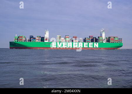 container ship EVER ARM on the river Elbe Stock Photo - Alamy