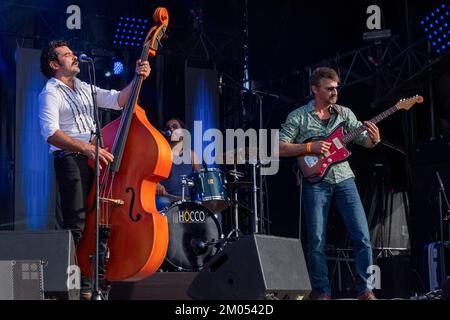 Double bass player and singer, guitarist and harmonica player of the ...