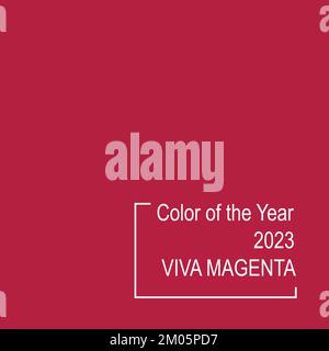 Color of the year 2023, viva magenta with hex and rgb codes, sample ...