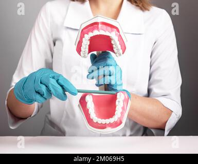 Wisdom tooth, third molar concept. Doctor dentist showing teeth, fake ...