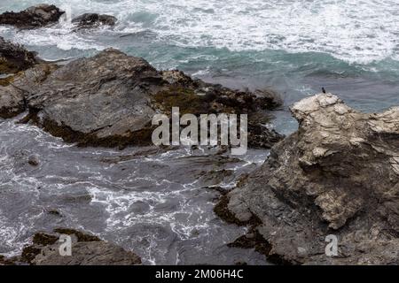 Punta de Lobos in Pichilemu, Chile Stock Photo - Alamy