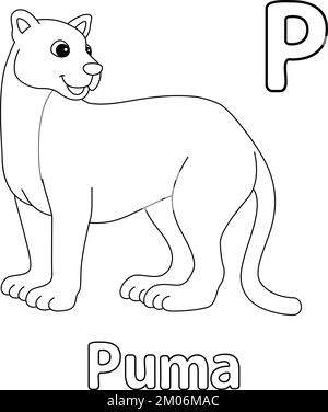 Puma Animal Coloring Page for Kids Stock Vector Image & Art - Alamy