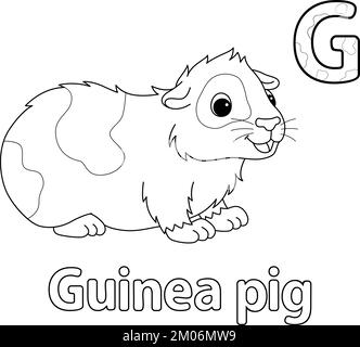 Guinea Pig Animal Isolated Coloring Page for Kids Stock Vector Image ...