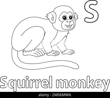 Squirrel Monkey Animal Isolated Coloring Page Stock Vector Image & Art - Alamy