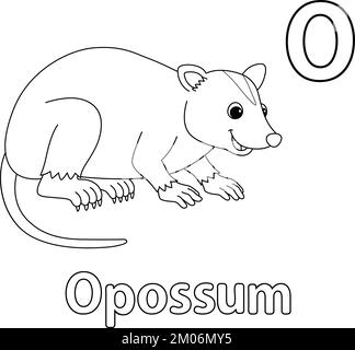 Opossum Animal Isolated Coloring Page for Kids Stock Vector Image & Art ...