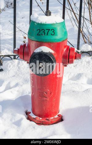 Red and green fire hydrant in Montreal, QC, Canada Stock Photo - Alamy