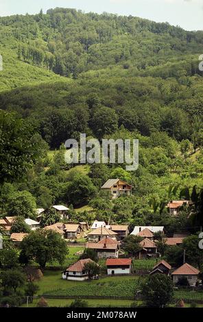 Prahova County, Romania, approx. 2000. Hay cut with a scythe drying out ...