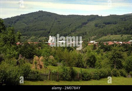 Prahova County, Romania, approx. 2000. Hay cut with a scythe drying out ...