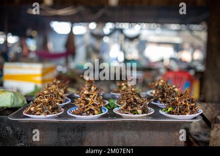 Udong, Cambodia. 19th Nov, 2022. A fried tarantula lies on a hand at ...
