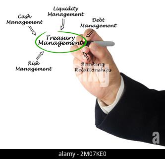 Five Components of Treasury Management Stock Photo - Alamy