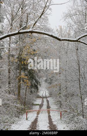 Illustration picture shows the first snow of the year at the Signal de ...