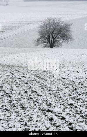 Illustration picture shows the first snow of the year at the Signal de ...