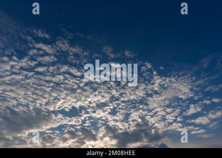 Large fleecy clouds (Altocumulus), Bavaria, Germany, Europe Stock Photo ...
