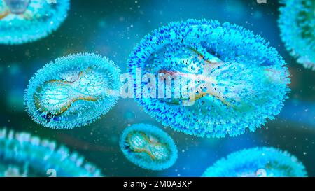 Cross section of a smallpox pathogen with cell membrane, nucleocapsid ...
