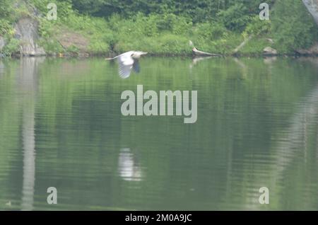 Park pic and student photo op, Claudia McMurphy , Environmental ...