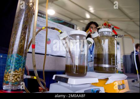 Earth Day - EPA at 40: Celebrate the 40th Anniversary of Earth Day and ...