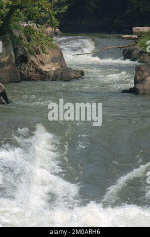 Park pic and student photo op, Claudia McMurphy , Environmental ...