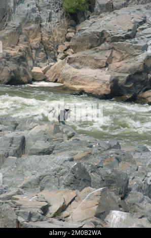 Park pic and student photo op, Claudia McMurphy , Environmental ...