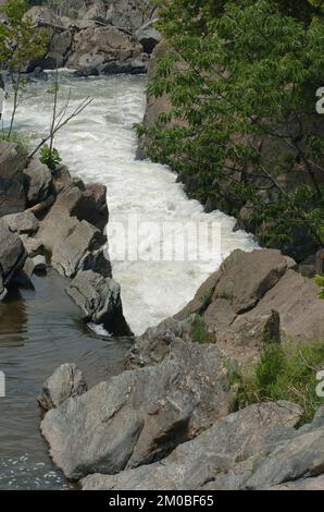 Park pic and student photo op, Claudia McMurphy , Environmental ...