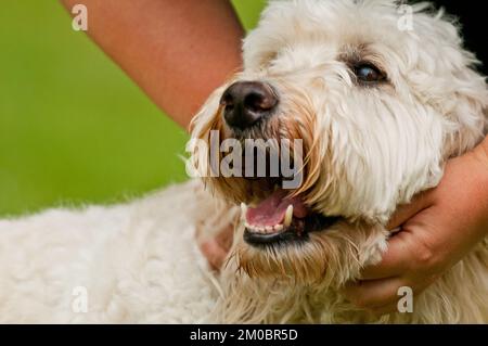 Office of Multimedia - Nutrient Pollution Germantown , Environmental ...