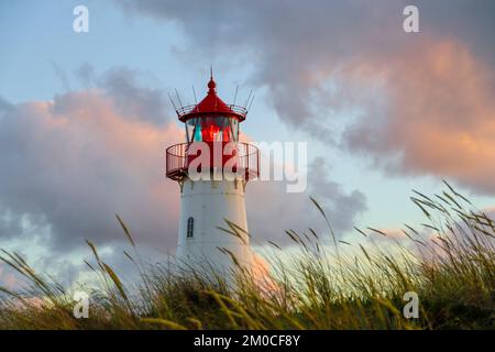 Beautiful Impressions of the island Sylt in Germany Stock Photo - Alamy