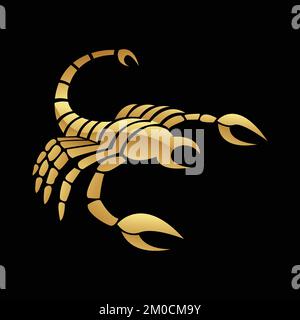 Golden Glossy Scorpion Icon on a White Background Stock Vector Image ...