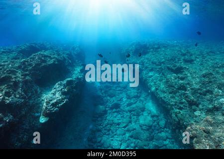Underwater trench in the reef with sunlight in the Pacific ocean ...