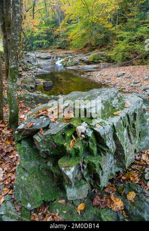 Waterfall, Autumn colors, Laurel Creek. Great Smoky Mountains National ...