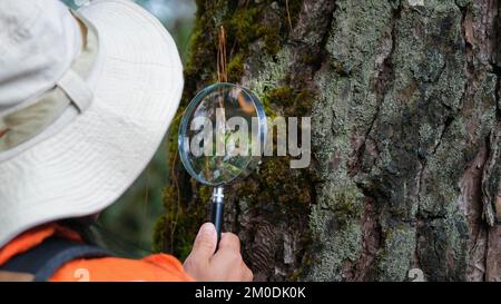 Female scientist ecologist studying plants in forest looking at trunk ...