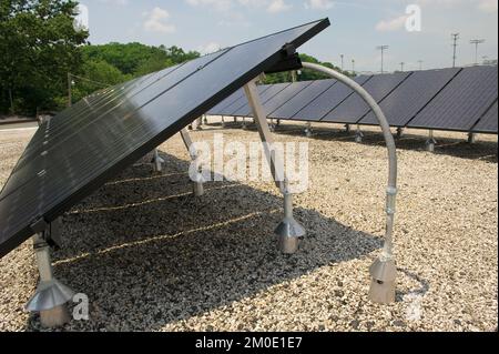 Office of the Administrator (Lisa P. Jackson) - Thomas Jefferson High ...