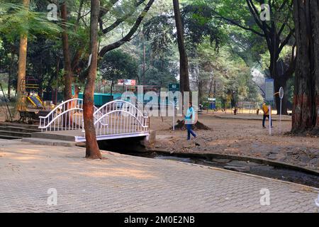 04 December 2022, Pune, India, Empress Botanical Garden, a green ...