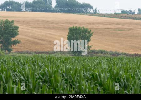 Regions - Farm Tour Images - Highland Ditch Company and with the Rocky ...