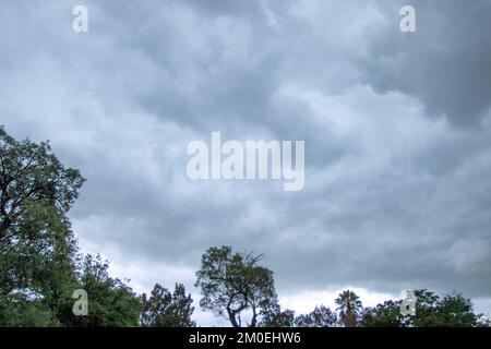 Summer 2022 stormy weather over the Highveld region in Gauteng province ...