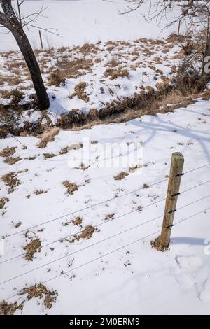 Chesapeake Bay Program Office - Harrisons Farm , Environmental ...