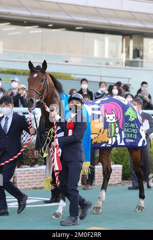 Hyogo, Japan. 3rd Dec, 2022. Echt and Katsuharu Tanaka before the ...