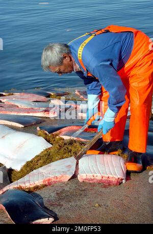 WARNING GRAPHIC CONTENT: Fishermen and whale hunters from Narsaq ...