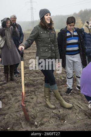 Crown Princess Mary, opened the Replant the World campaign by planting ...