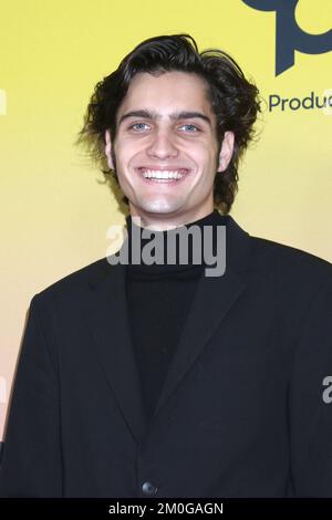 LOS ANGELES - DEC 4: Dominic Brack at the 2022 Streamy Awards at ...