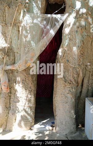 Baobab At Mariam Dearit, Keren, Eritrea Stock Photo - Alamy