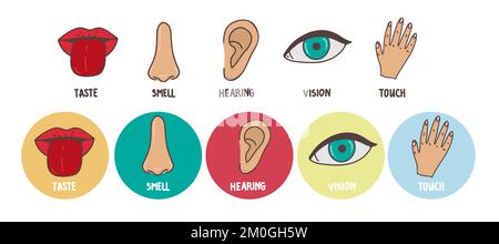 Set of cartoon sensory organs. Smell of nose, eye sight, ears, touch of ...