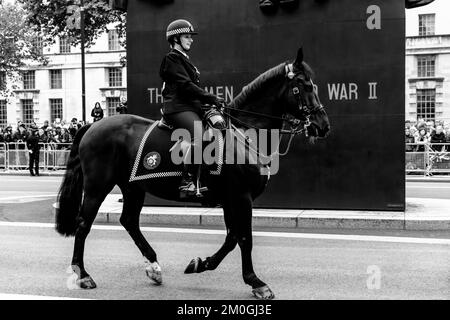 A Mounted Female Police Officer Passes By The Women Of World War Two ...