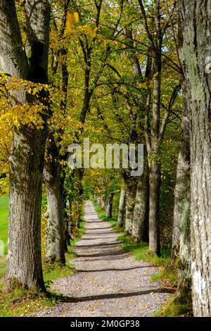 Starnberg with Starnberg Castle, Lake Starnberg, Fünfseenland, Upper ...