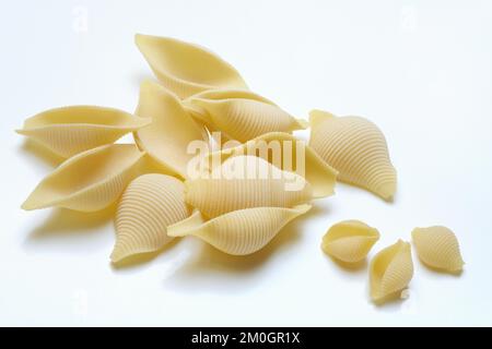 Conchiglione and small conchiglie, shell pasta, pasta Stock Photo - Alamy