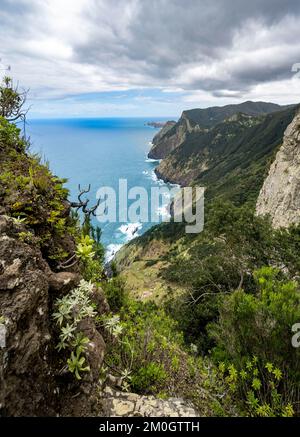 View of steep forested coast and sea, Porto da Cruz village in the back ...