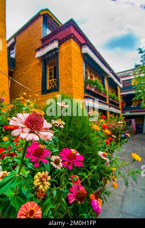 Ani Sangkung, nunnery, Lhasa, Tibet, Asia Stock Photo - Alamy