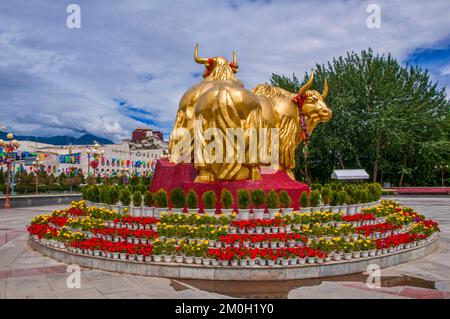 Golden bulls in the center of Lhasa, Tibet, Asia Stock Photo - Alamy